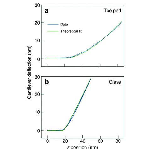 Measuring The Stiffness Of Tree Frog Toe Pad Epithelium Download Table