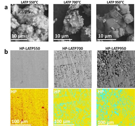 A Scanning Electron Microscopy Sem Micrographs Of Download Scientific Diagram