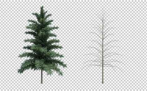 Premium Psd 3d Rendering Tree Isolated Cut Background