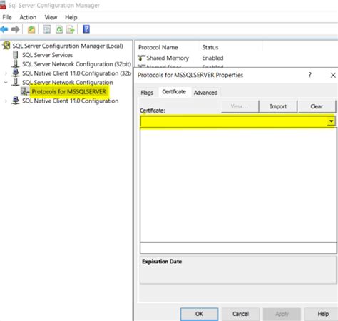 Unable To See Empty Ssl Certificate To Apply On Sql Server