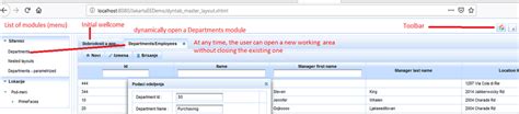 The Jsf Single Page Applications Spa With Dynamic Tabs By Svetozar
