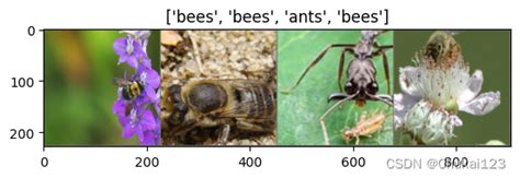 基于resnet18网络训练二分类模型二分类网络 Csdn博客