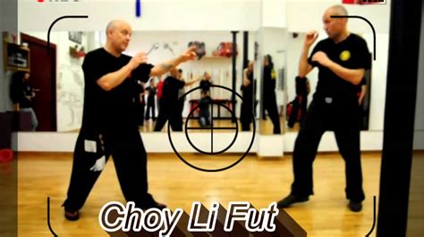 Choy Li Fut Techniques Youtube