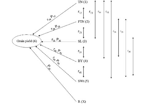 path diagram showing causal relationships of five predictor variables