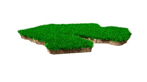 Grass Plan Pngs For Free Download
