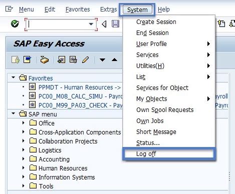 SAP Logging Onto SAP System SAP Logging Onto SAP System
