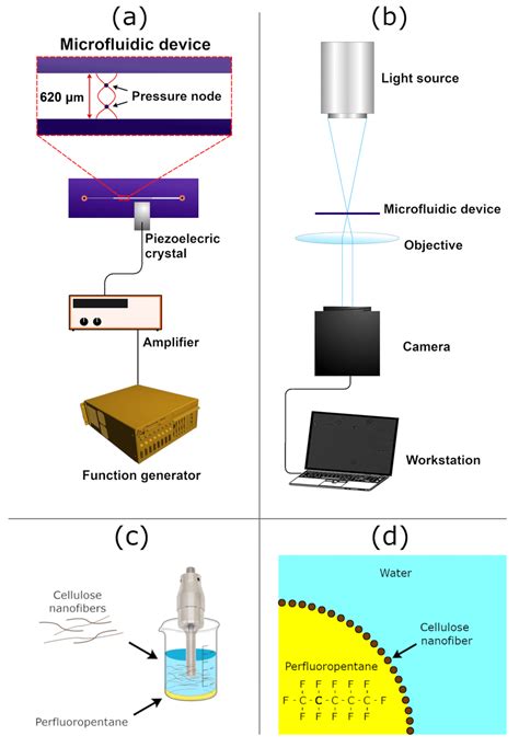A The Experimental Setup Depicting The Microfluidic Device Used In Download Scientific
