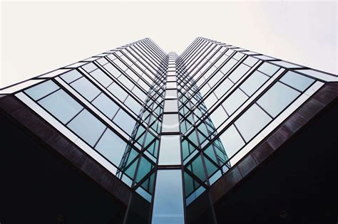 Layout Architecture Axis