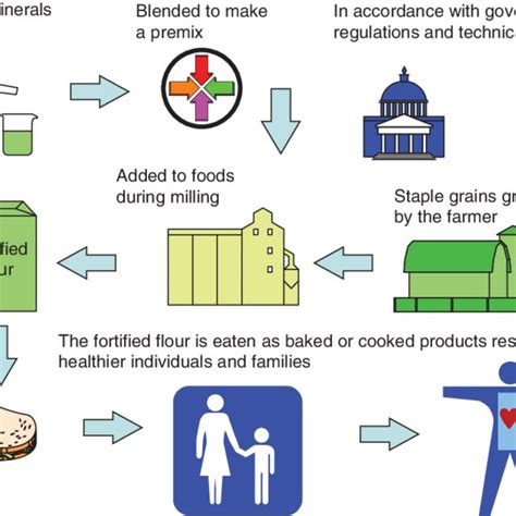 Pdf Food Fortification