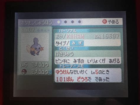 Brave Shiny Mudkip R Pokemonemerald