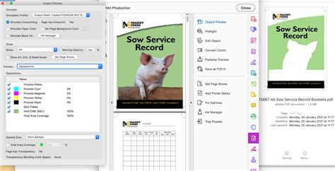 Overprint Issue Adobe Product Community 13086173