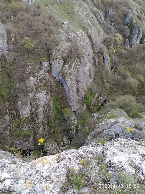 ყიდვა გაყიდვა დედოფლისწყაროში Facebook