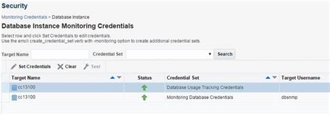 usage tracking reports using oracle enterprise manager 13c as a sam tool