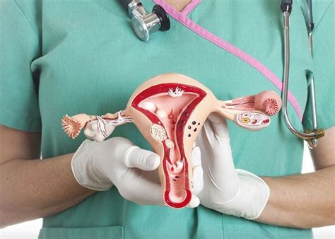 5 Claves Para Entender Fácilmente Qué Son Los Ovarios Poliquísticos