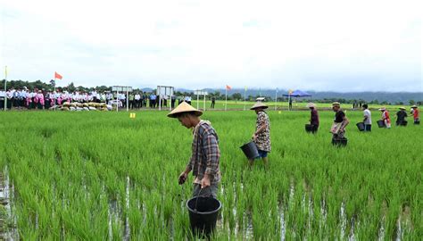 ကချင်ပြည်နယ်ဝန်ကြီးချုပ် ဝိုင်းမော်မြို့နယ် မဒိန်ကျေးရွာ ဧက ၁၀၀ စံပ