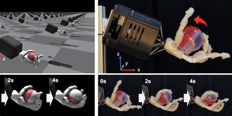 Learning A Dexterous Policy For A Biomimetic Tendon Driven Hand With Rolling Contact Joints