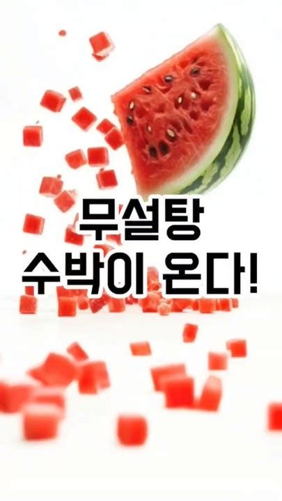 무설탕 수박바맛 자일로큐브 출시다이어트나 혈당 걱정으로 수박 못먹는 분들 드디어 나왔습니다잘~익은 수박맛 그대로 당은 쏙~뺏어요자일로큐브무설탕캔디자일리톨사탕