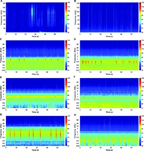Spectrograms Of The Selected Biological Sounds Spectrograms Of