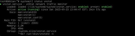Logging And Monitoring Traffic Consumption Using VnStat INTROSERV