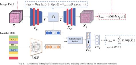 figure 1 from multi modal hybrid encoding approach based on information