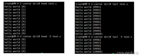 linux操作基本指令（2） linux 文件显示10000行 csdn博客