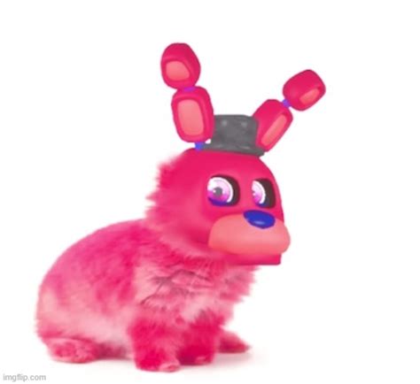 The Creature Imgflip