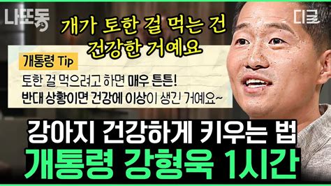 어쩌다어른 1시간 강조되고 반복되는 소리 금지 강아지 키우는 사람이 명심해야 하는 것🐶 강형욱 훈련사의 반려견 스토리💬