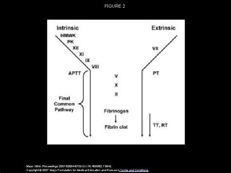 How To Interpret And Pursue An Abnormal Prothrombin