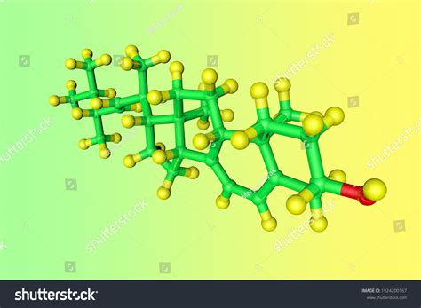 Ergosterol Function Ergosterol Function