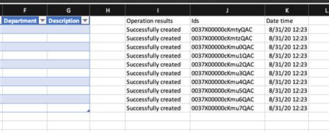 Creating New Records In Salesforce Xappex