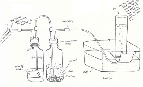 The Elements NexGen Academy