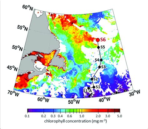 Composite Modis Chlorophyll Concentrations For September 2 4 2017