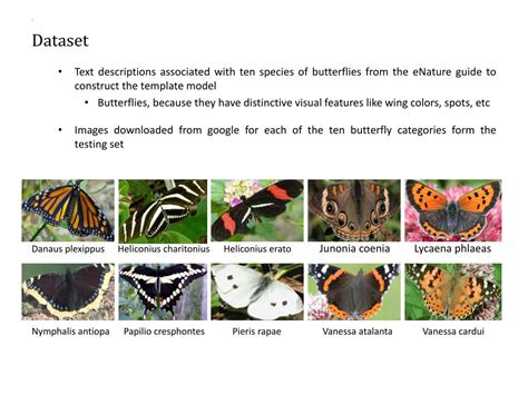 ppt learning models for object recognition from natural language