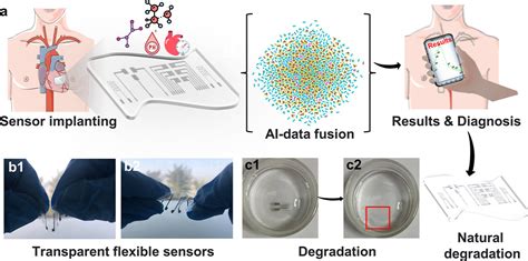 Biodegradable Biocompatible And Implantable Multifunctional Sensing Platform For Cardiac