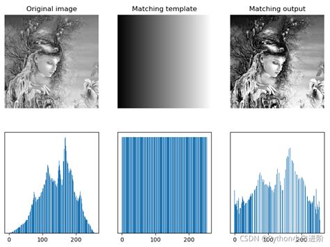 【opencv 例程300篇】47 直方图处理之直方图匹配 局部直方图匹配并应用于全局 csdn博客