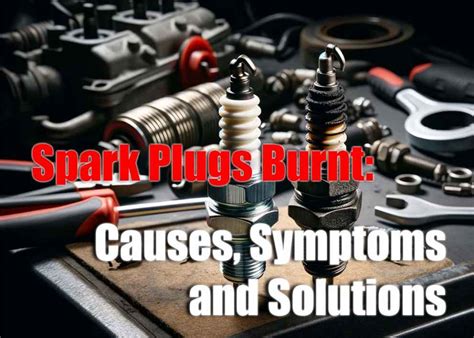 New Spark Plugs Burnt At Wilfred Mccarty Blog