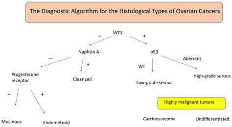 Ovarian Cancer—epidemiology Classification Pathogenesis Treatment