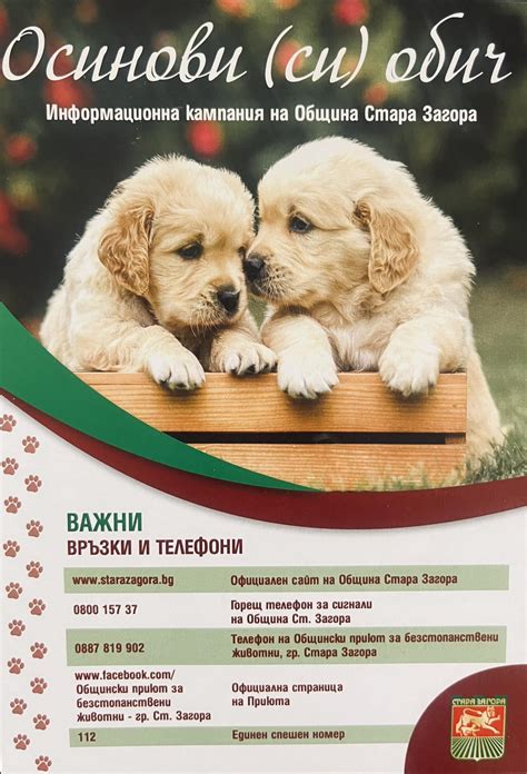 Дом за Дом за животните от общинския приют в Русе