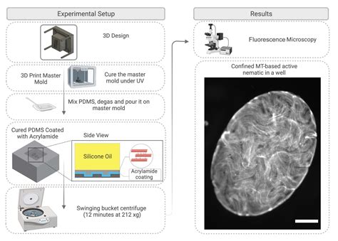 Forming Confining And Observing Microtubule Based Active Nematics