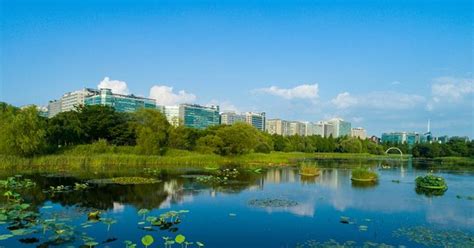 일산호수공원 40대 여성 시신 발견돼사망 원인은 일산호수공원 40대 여성 시신 발견돼사망 원인은