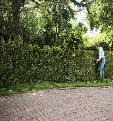 Hsa Cordless Hedge Trimmer At Hedge Trimmer In Thane Id