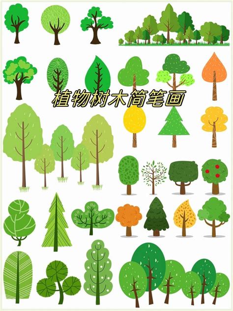 森林绿植简笔画大全简单（高清17张）简笔画图片大全
