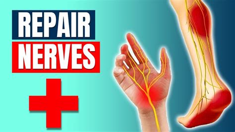 Can Stem Cells Help Nerve Damage