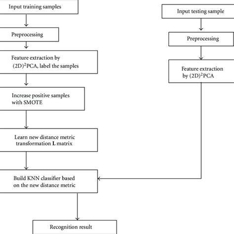The Proposed Framework For Finger Vein Recognition Download