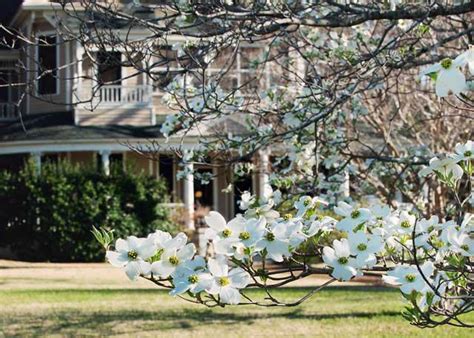 Palestine Tour Texas