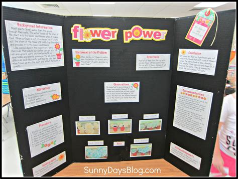 Science Fair Ideas Second Grade At Kiara Vaux Blog
