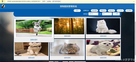 java毕业设计 ssm基于ssm的宠物医院管理系统的设计与实现vue包含文档代码讲解 csdn博客