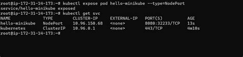 run kubernetes using minikube cluster on the aws cloud