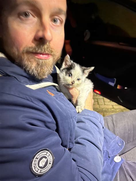 Miaow Vember 🐈‍⬛ Chris Beevers