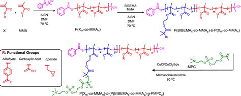 Bottlebrush Polymers For Articular Joint Lubrication Influence Of Anchoring Group Chemistry On